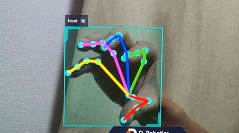 D-Robotics RDK X5のAI機能を試してみた